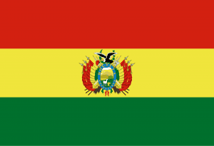 Bolivia - Power plug, socket & mains voltage in Bolivia
