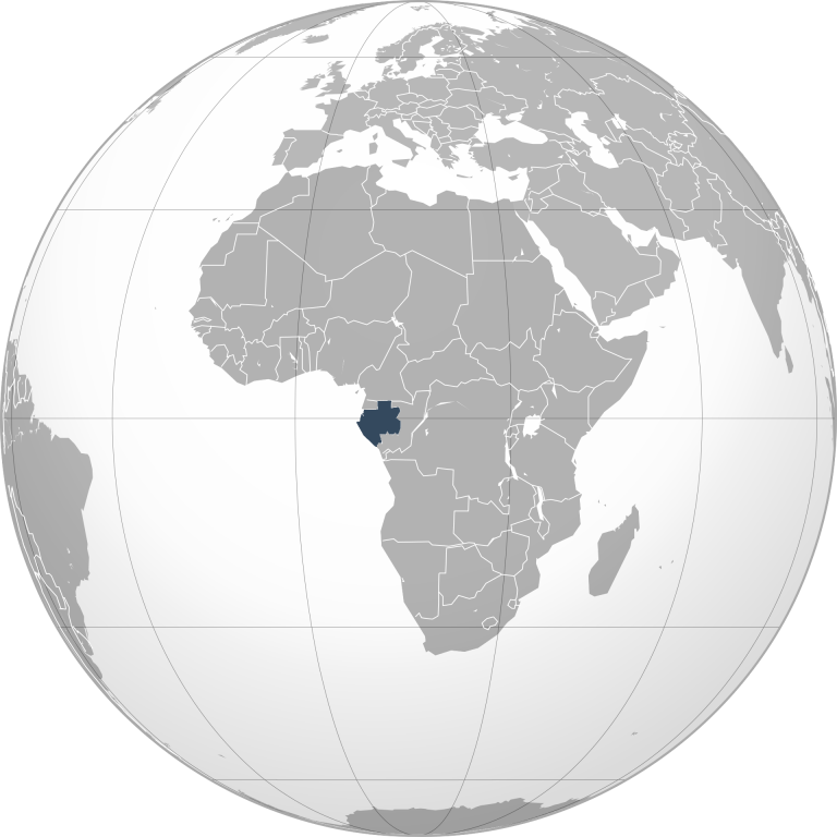 Gabon - Power plug, socket & mains voltage in Gabon (the Gabonese Republic)